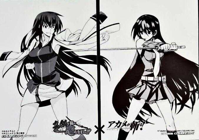 Akame Crossover art with Maji de Watashi ni Koi Shinasai | Scrolller