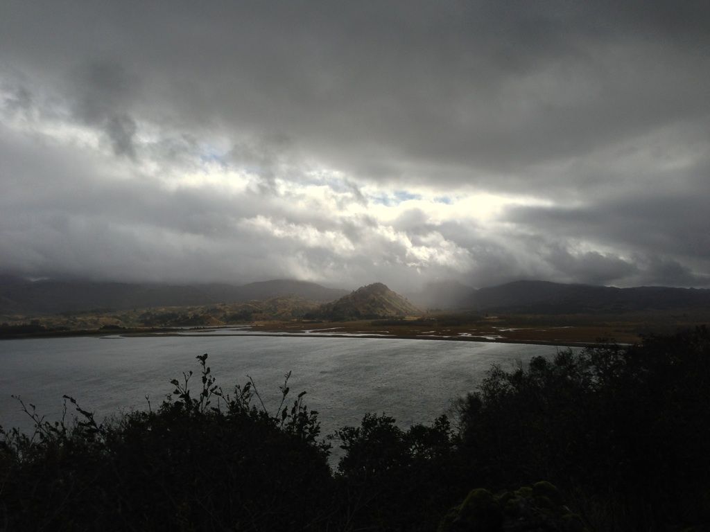 Alaska's hidden gem kodiak!! | Scrolller