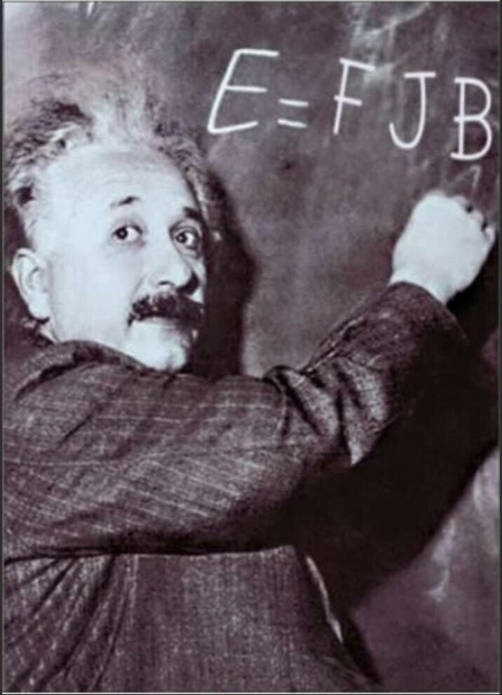Albert Einstein Was A Smart Guy | Scrolller