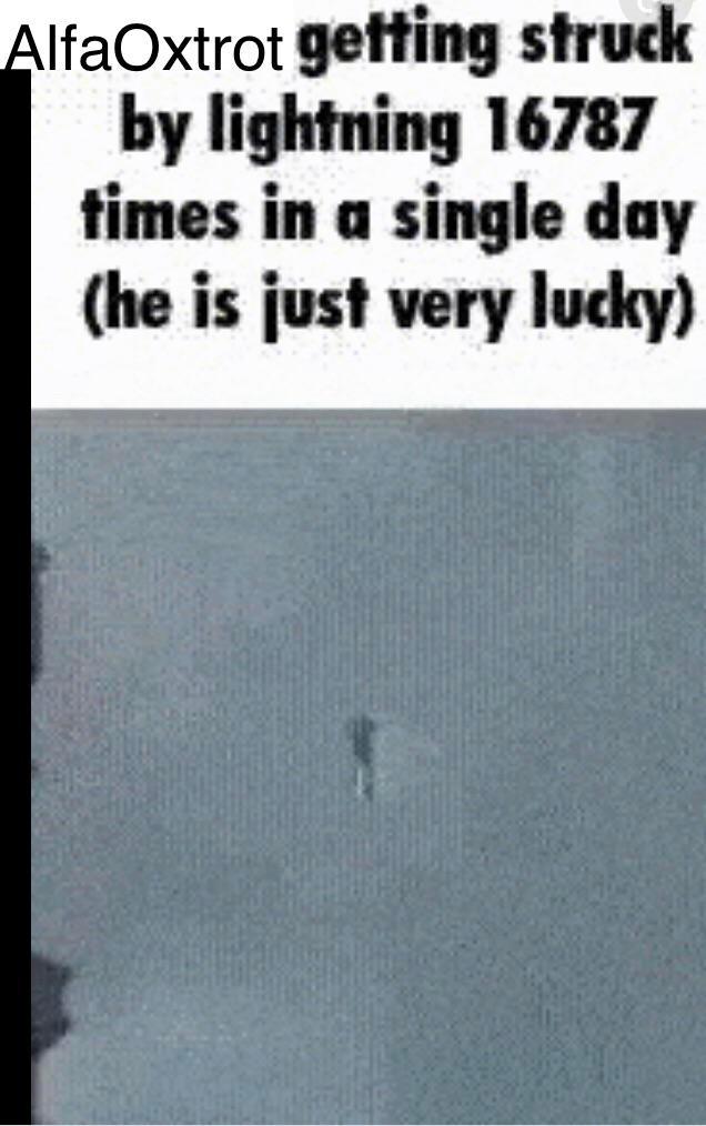 Alfa after his speed run | Scrolller