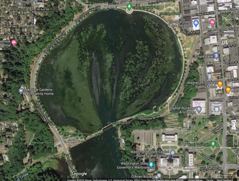 Algae infestation visible on Google Maps | Scrolller