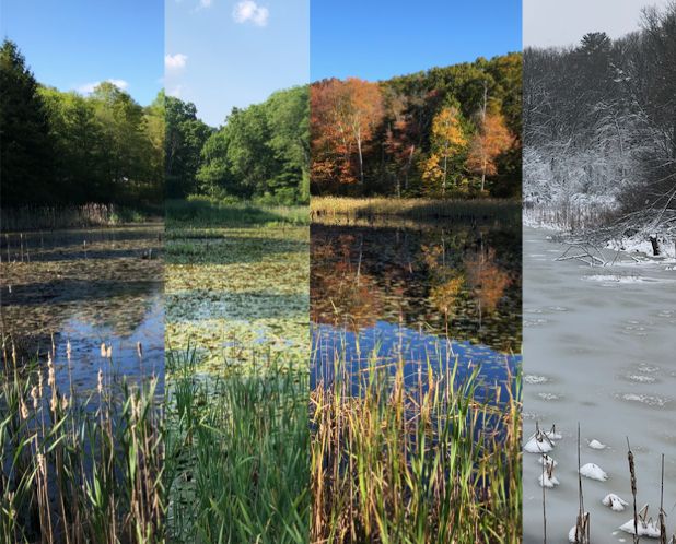 All 4 seasons | Scrolller