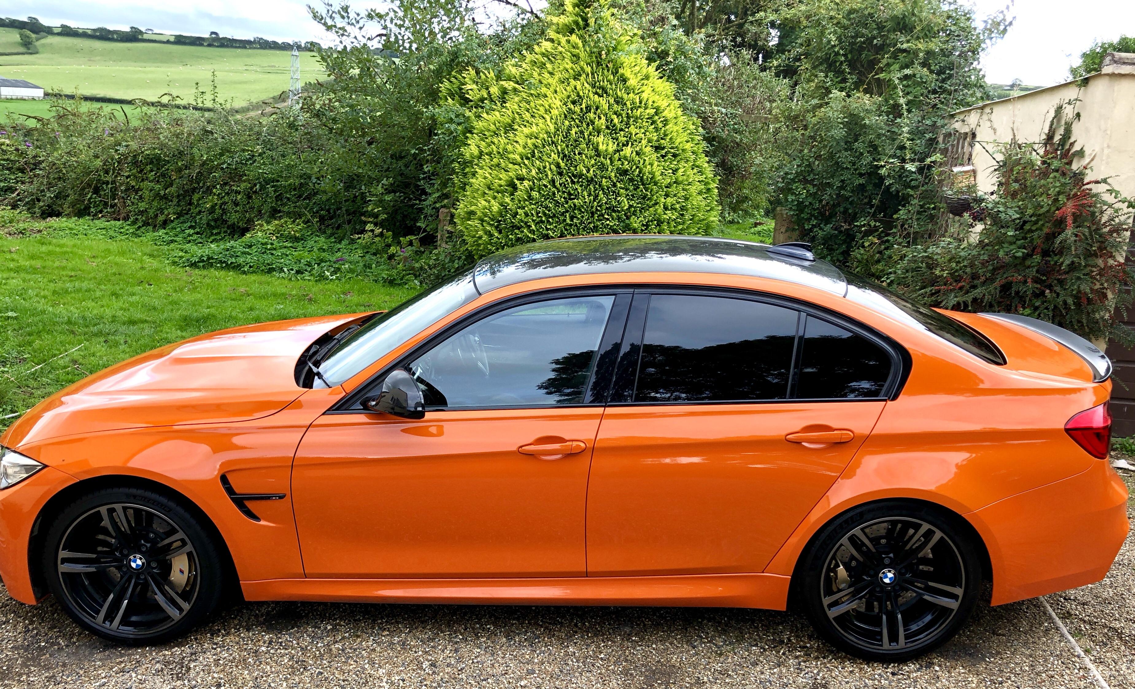 All cleaned up 😊 | Scrolller