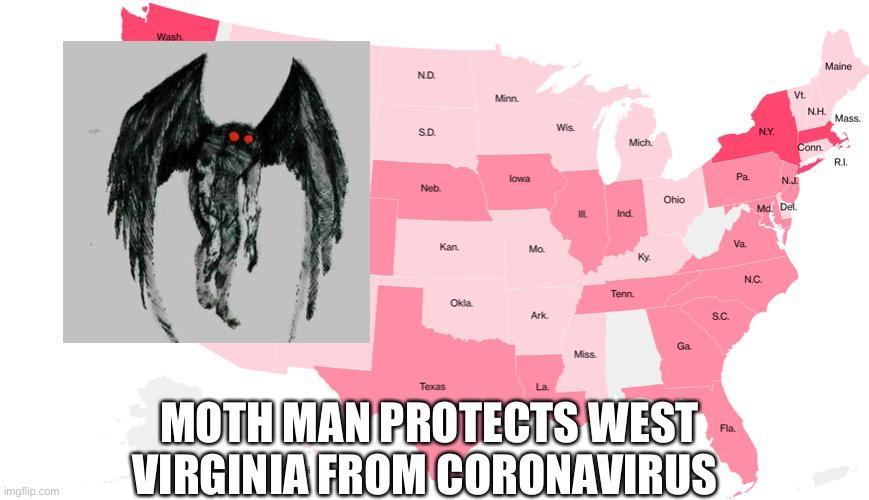 ALL HAIL KING MOTHMAN | Scrolller