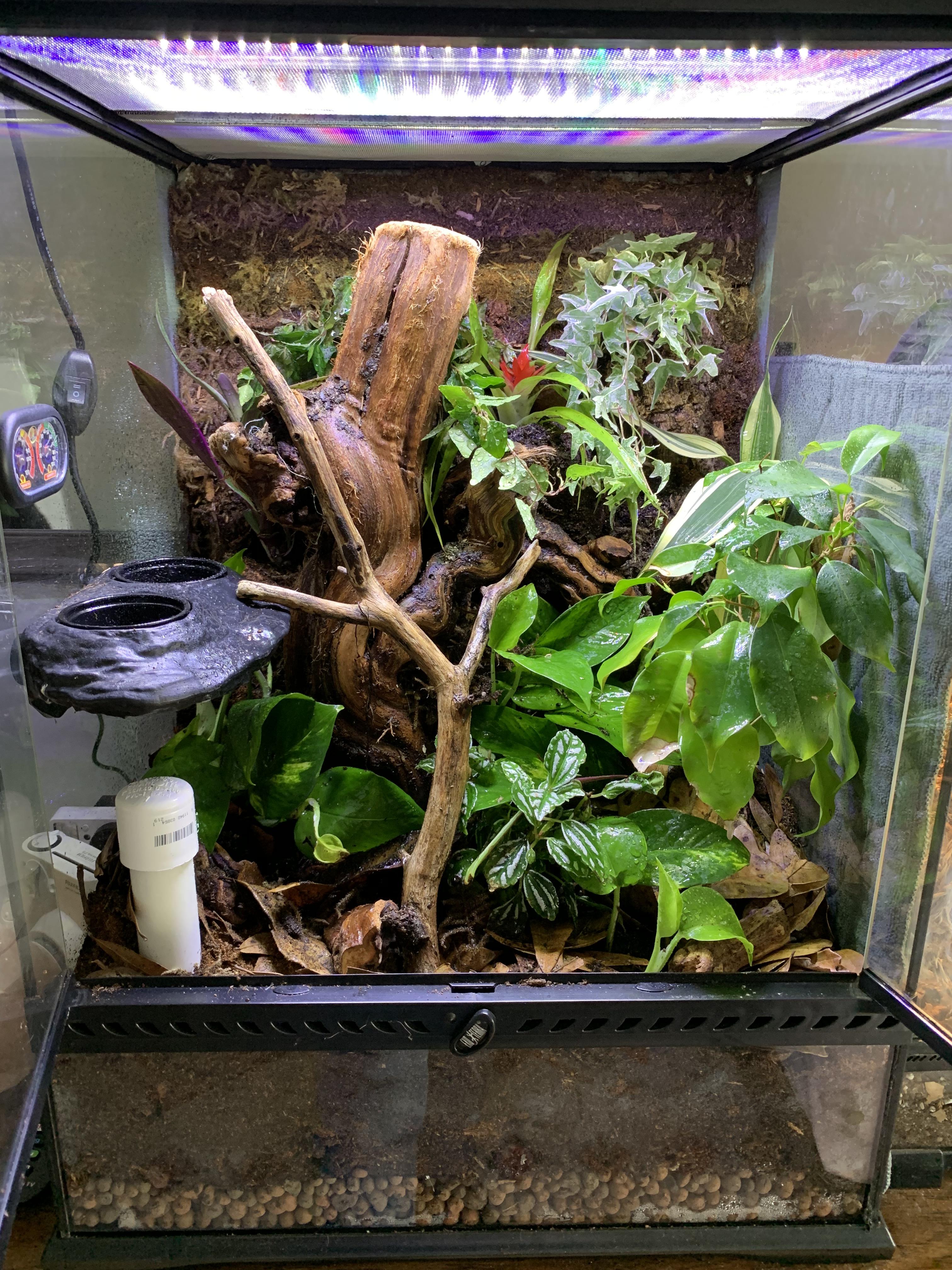 All lit up. New nicrew lighting | Scrolller