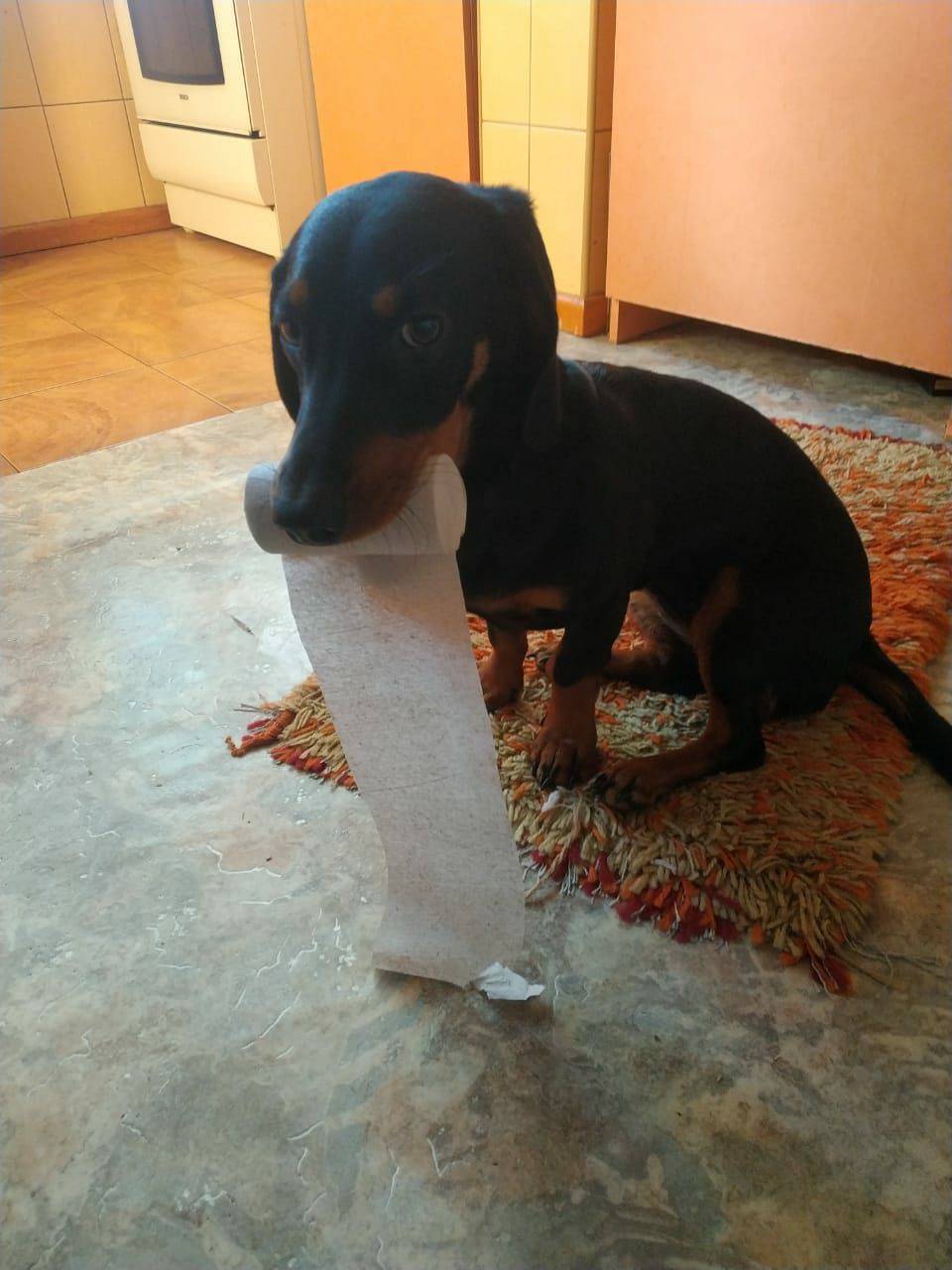 All mine! | Scrolller