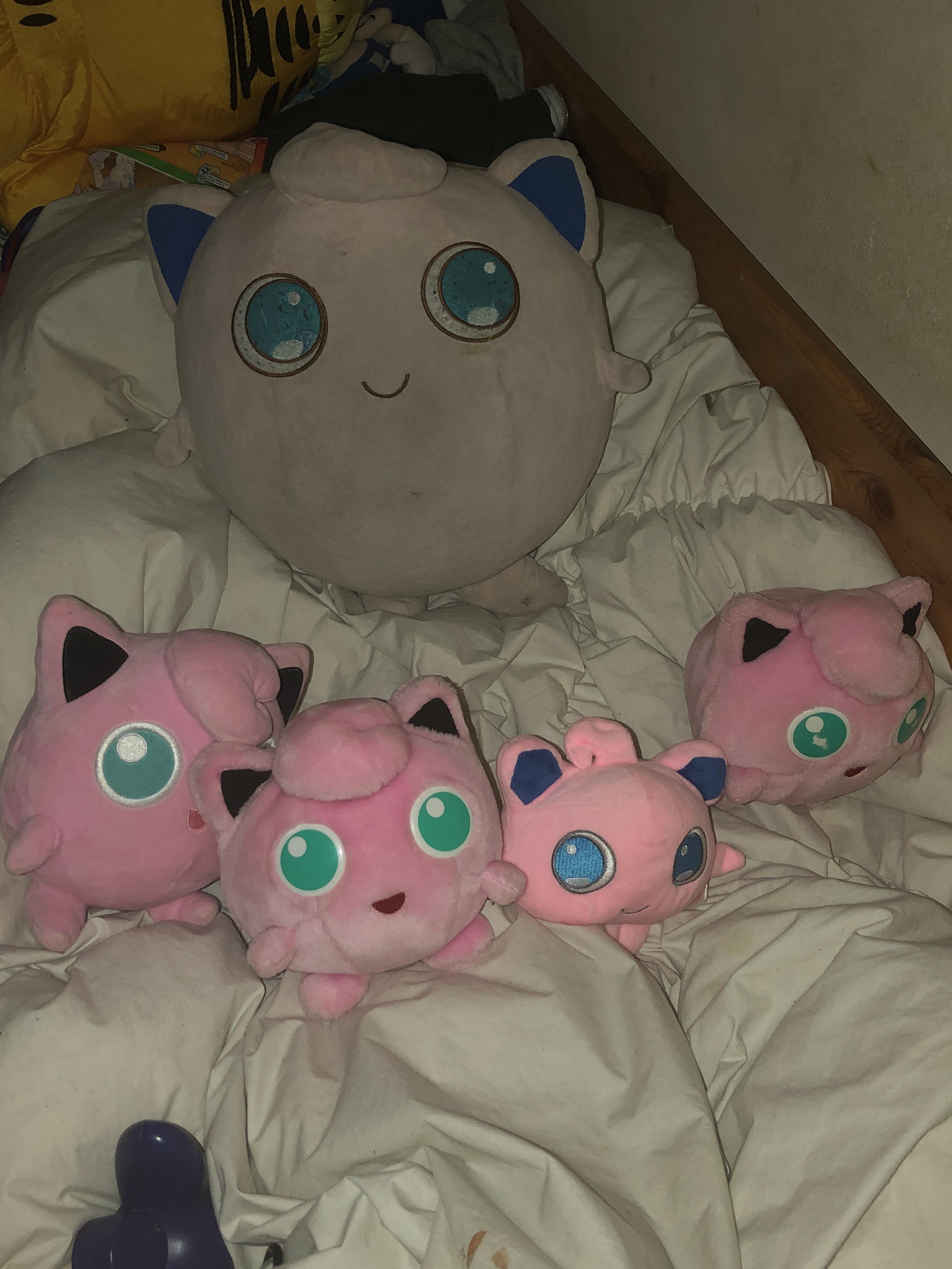 All my Jigglypuff plushies | Scrolller