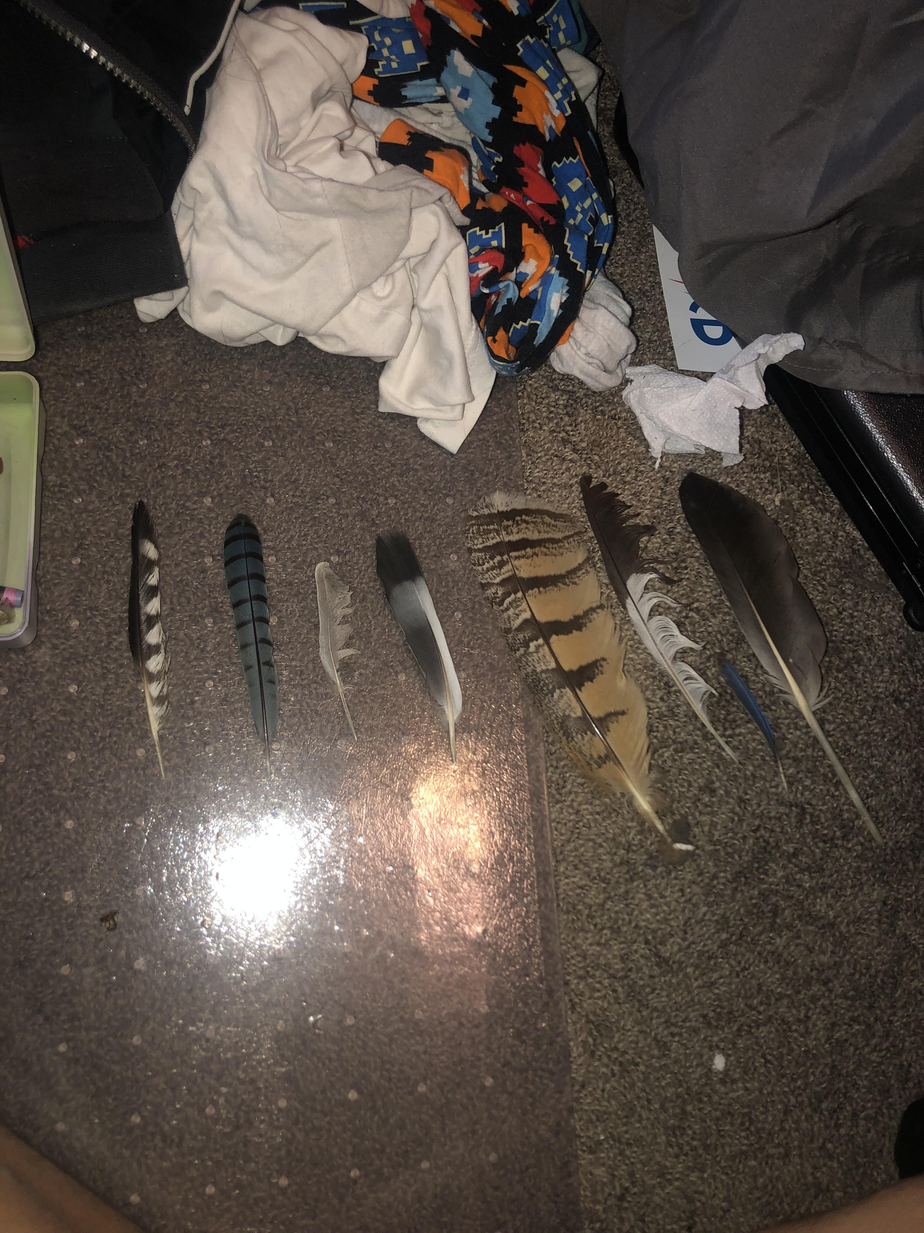 all of these identification please | Scrolller