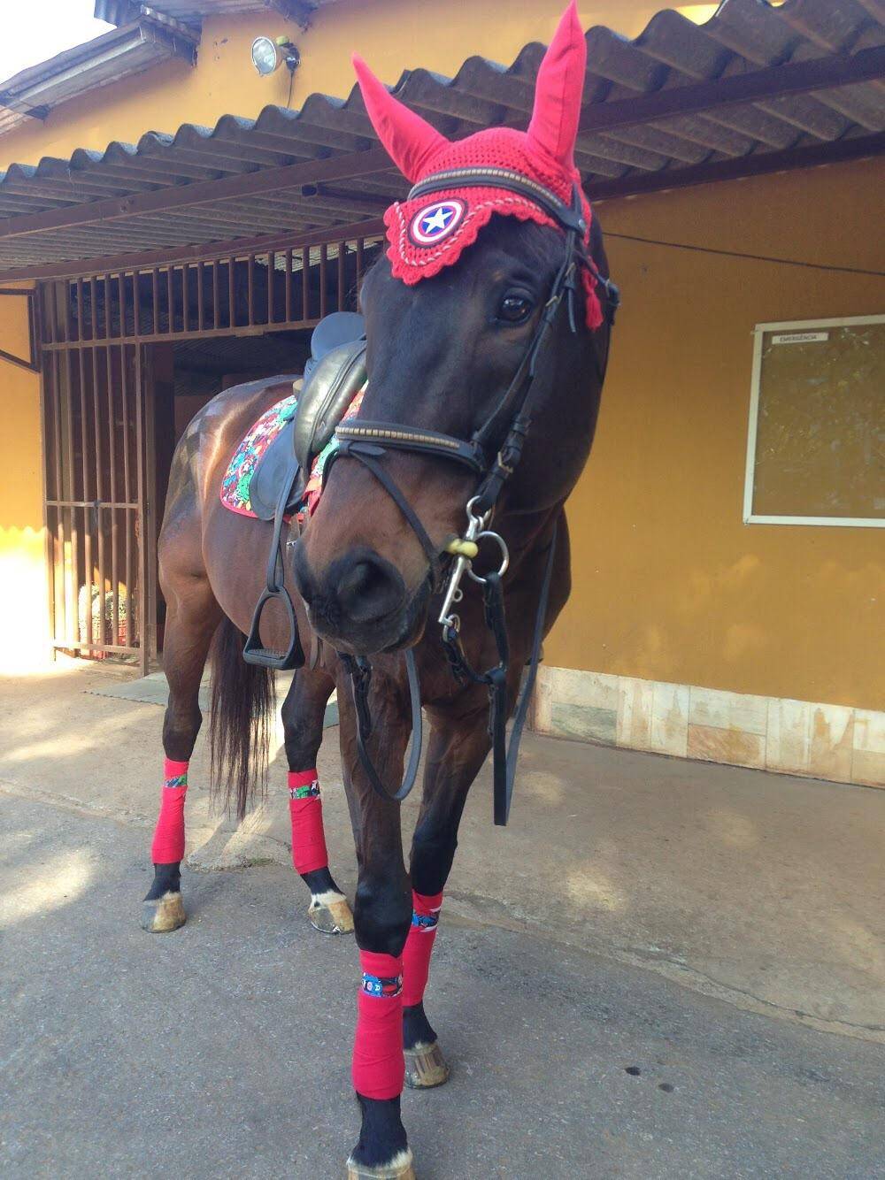 All set for Endgame! | Scrolller