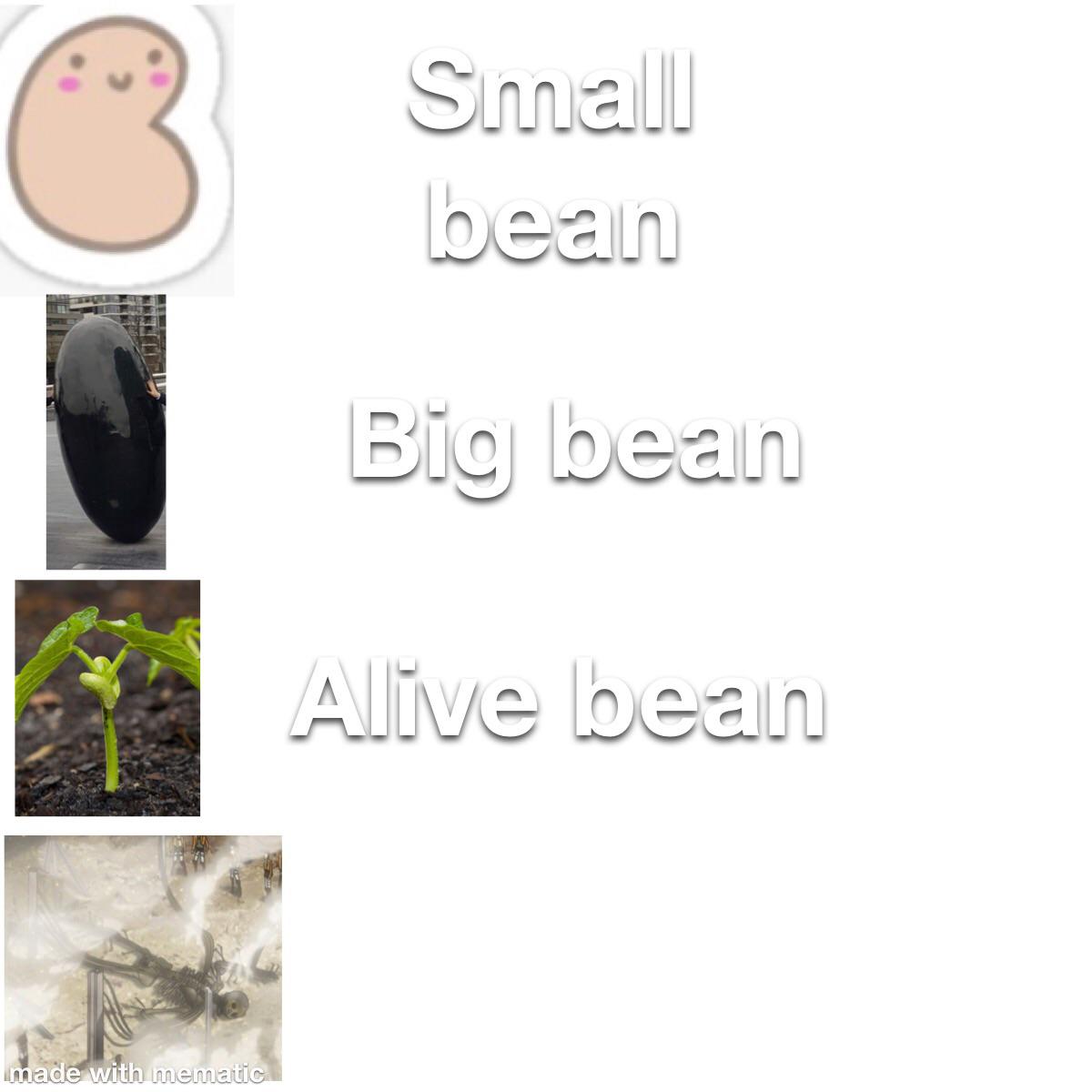 All the beans | Scrolller