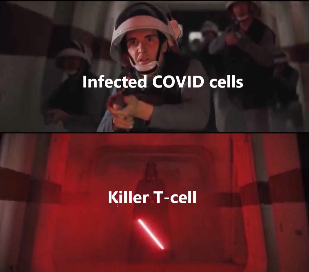 All too easy | Scrolller