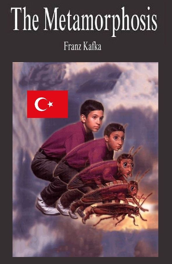 The Metamorphosis | Scrolller