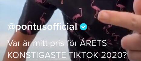 Alla hans tiktoks är ju konstiga | Scrolller