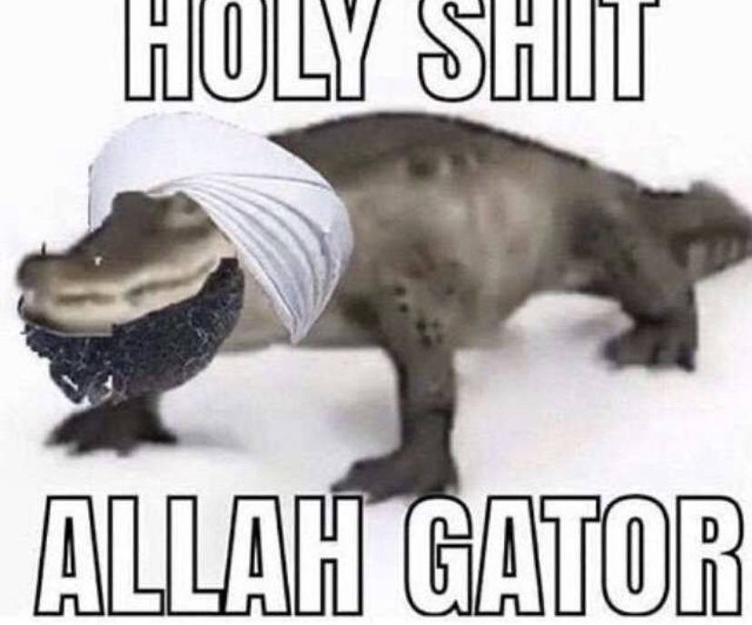 Allah Gator Rule | Scrolller