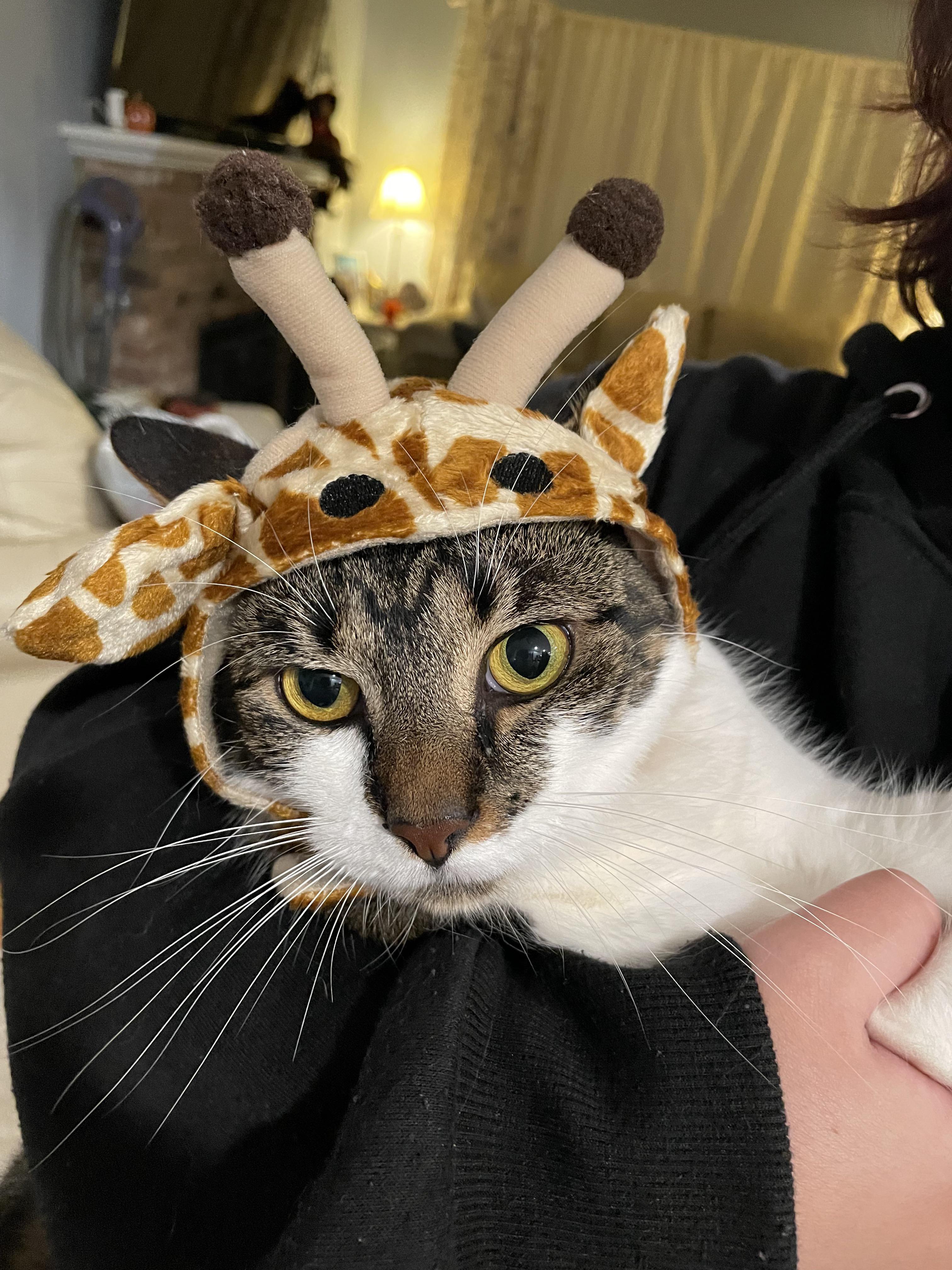 Almost Halloween | Scrolller