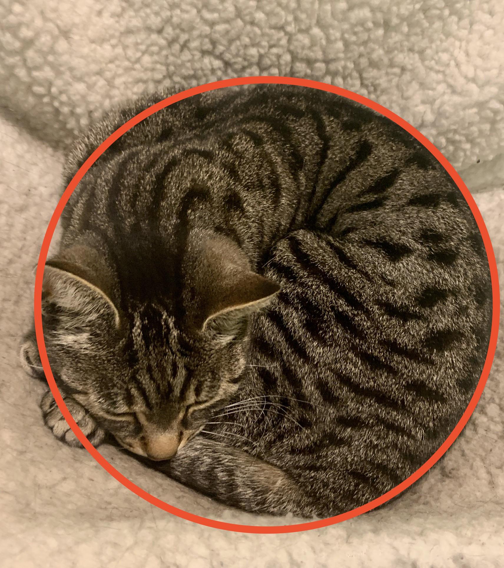 Almost perfect | Scrolller