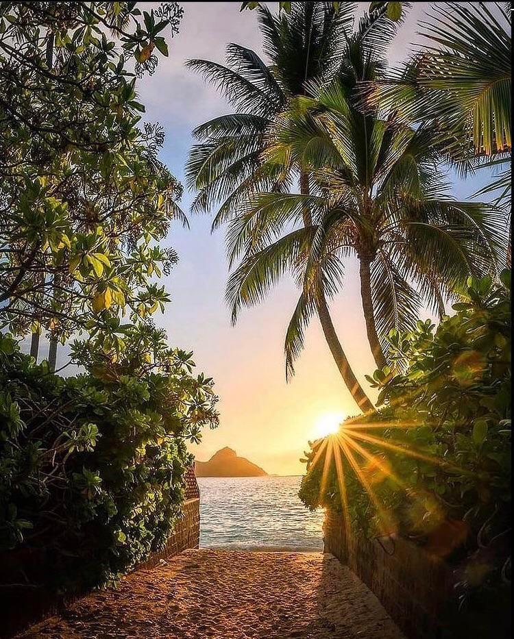 Aloha Sunrise Lanikai Beach Oahu | Scrolller