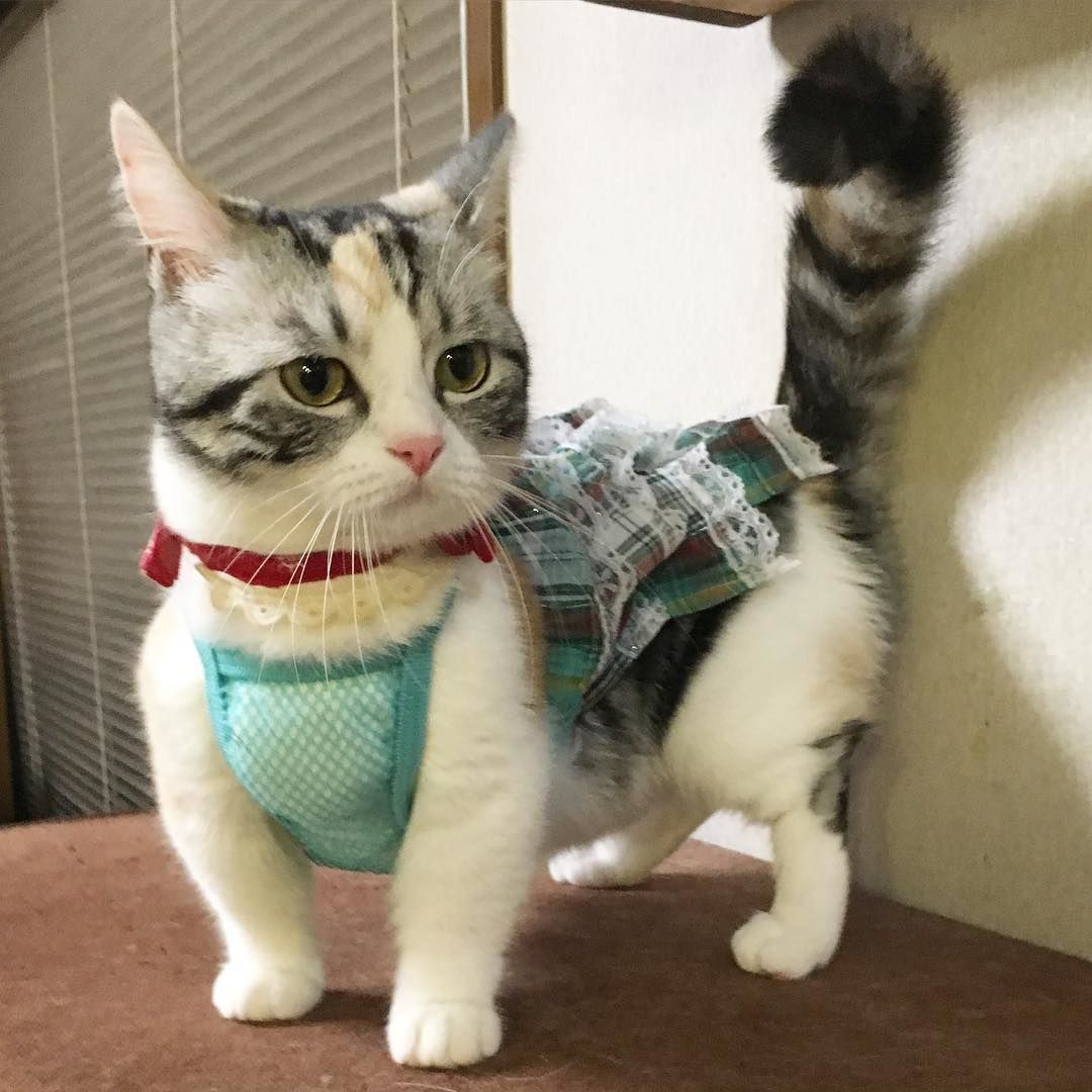 "Alright Mr. DeMille, I'm ready for my close-up" | Scrolller