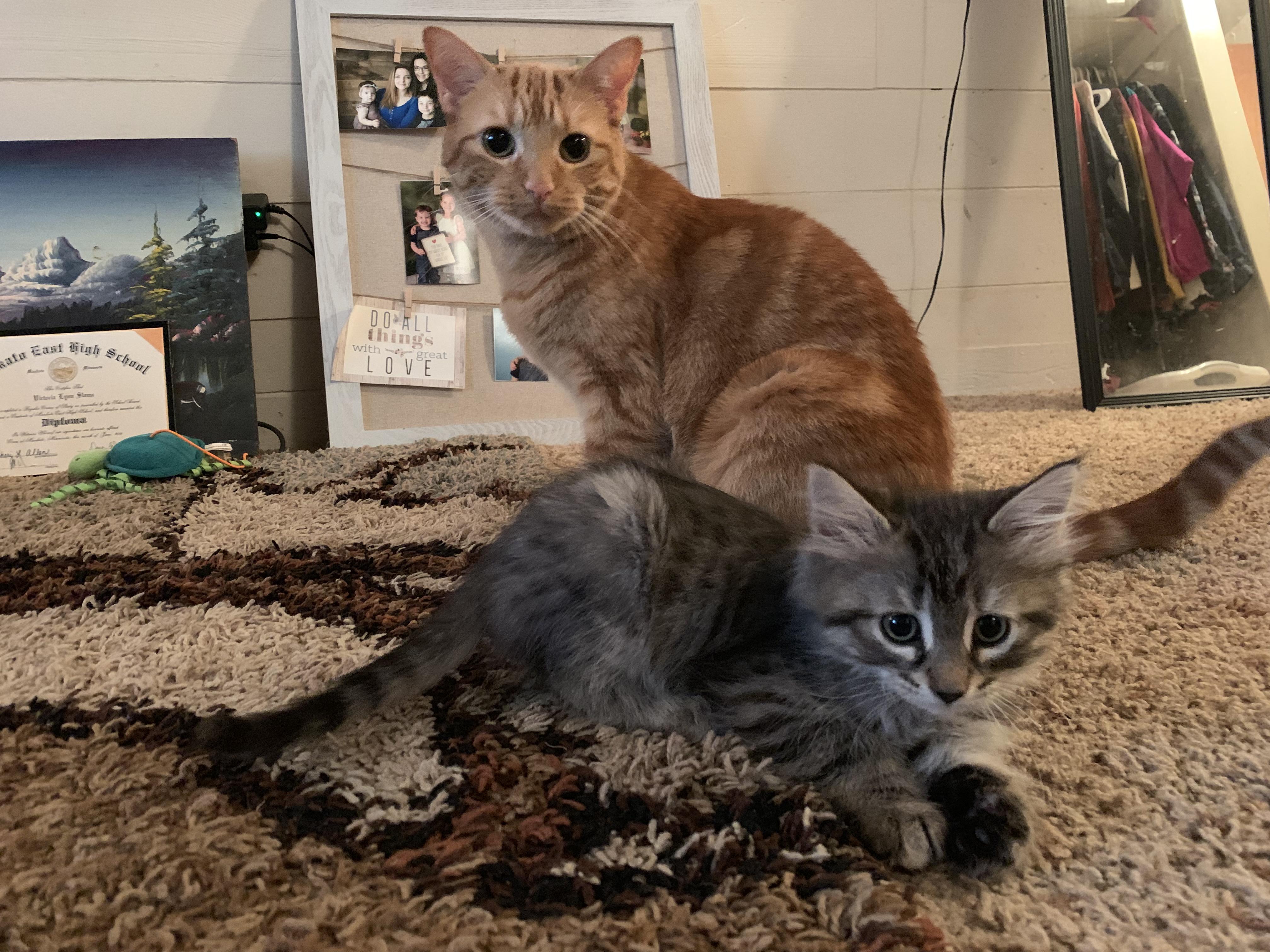 Aluna And Kiki ️ Scrolller