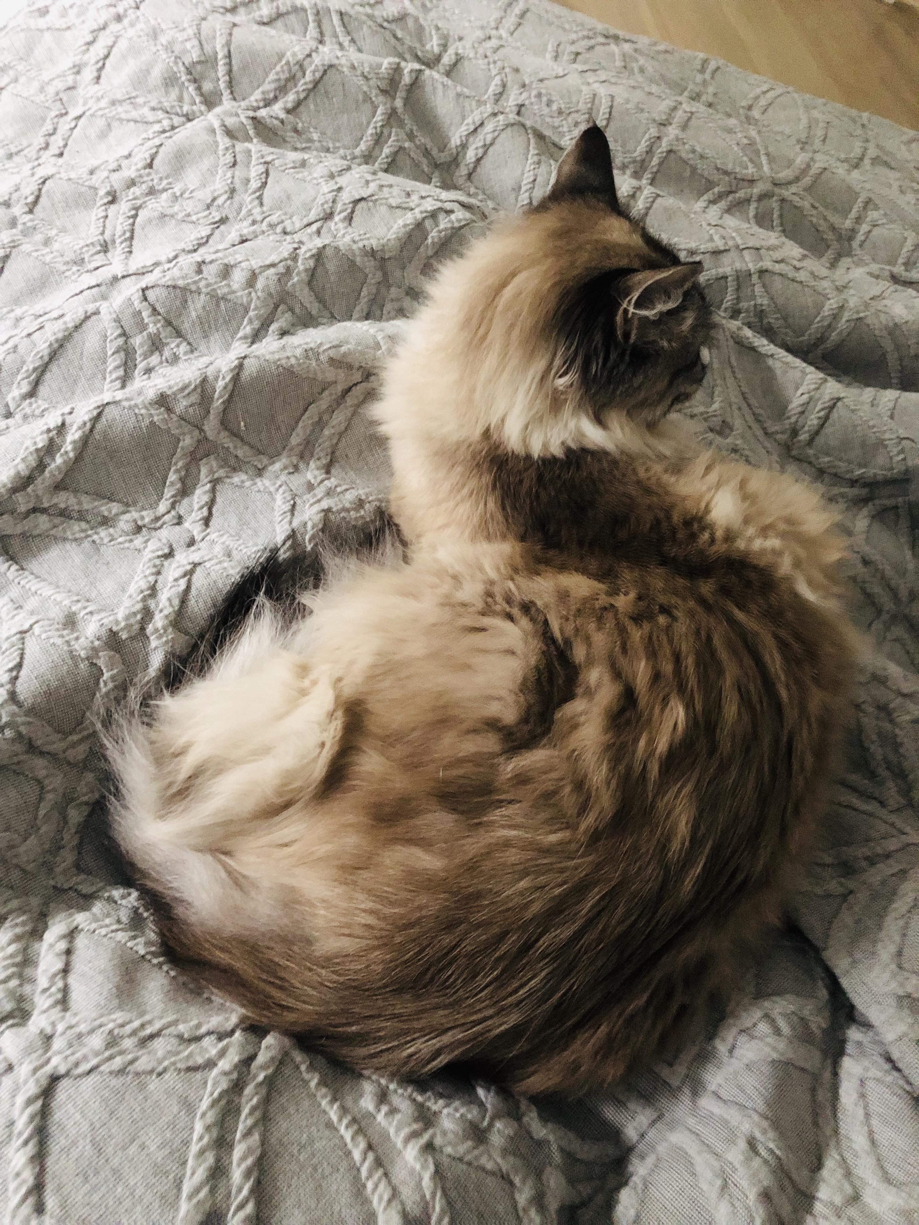 Always backwards | Scrolller