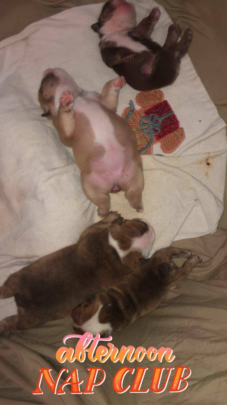 Always nap time 😂 | Scrolller