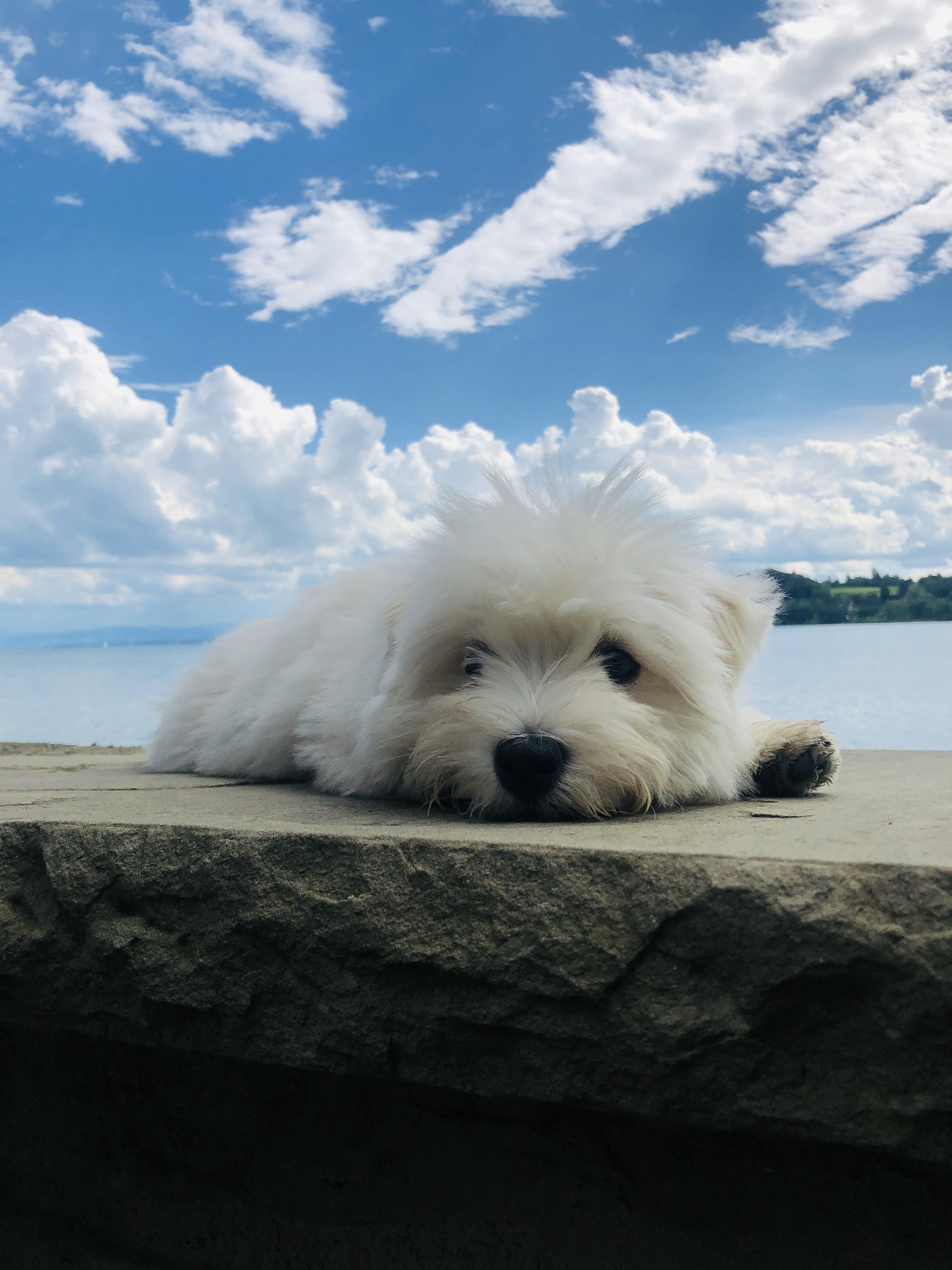 Always tired | Scrolller