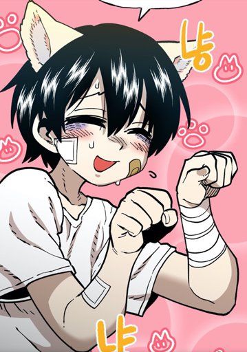 am catboy :3 | Scrolller