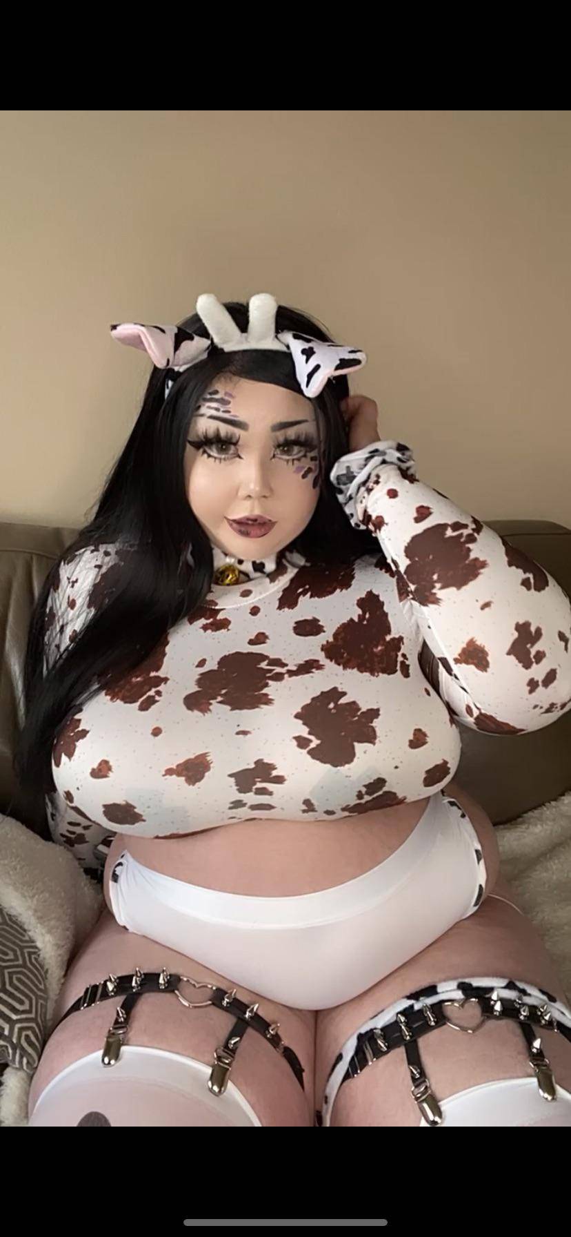 am i a cute cow? | Scrolller