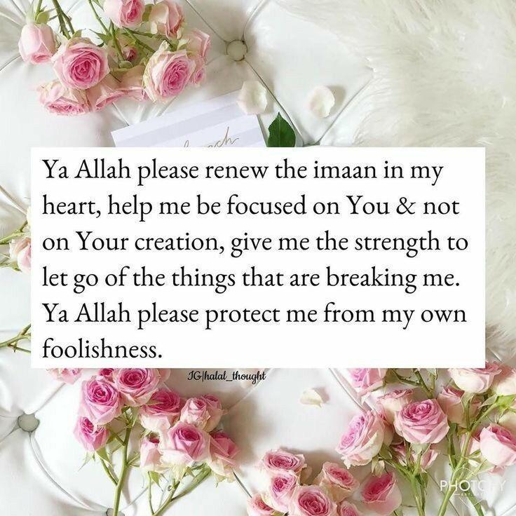 Ameen ya Allah 🙏 | Scrolller