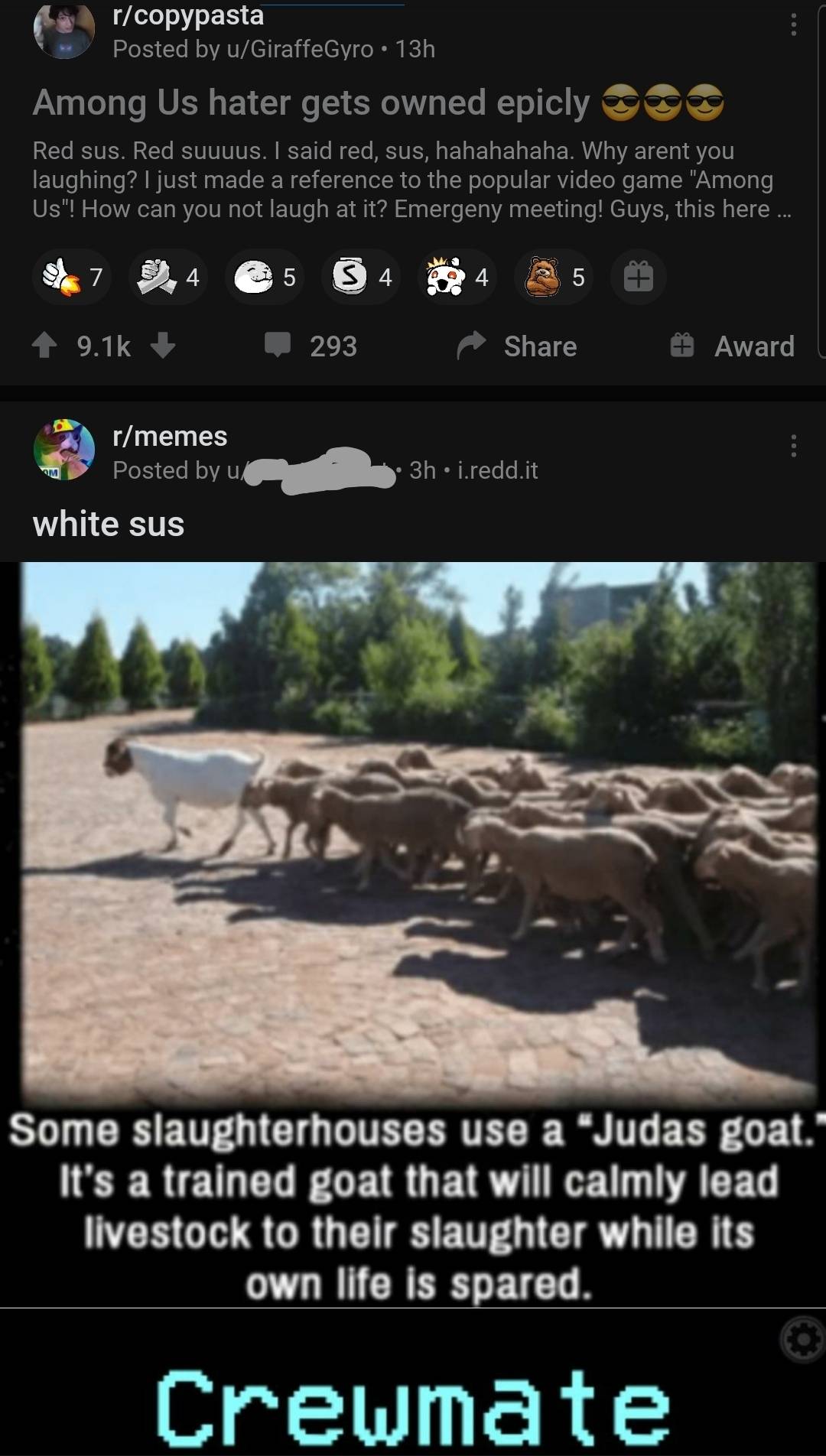 Among Us reference | Scrolller