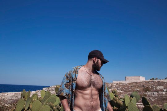 Amongst the cacti | Scrolller