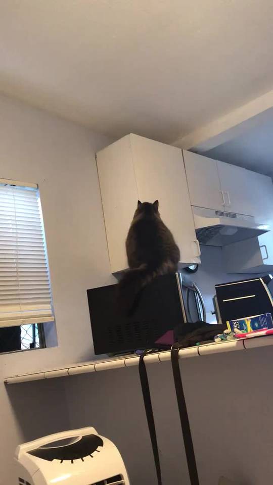 an attempt was made | Scrolller