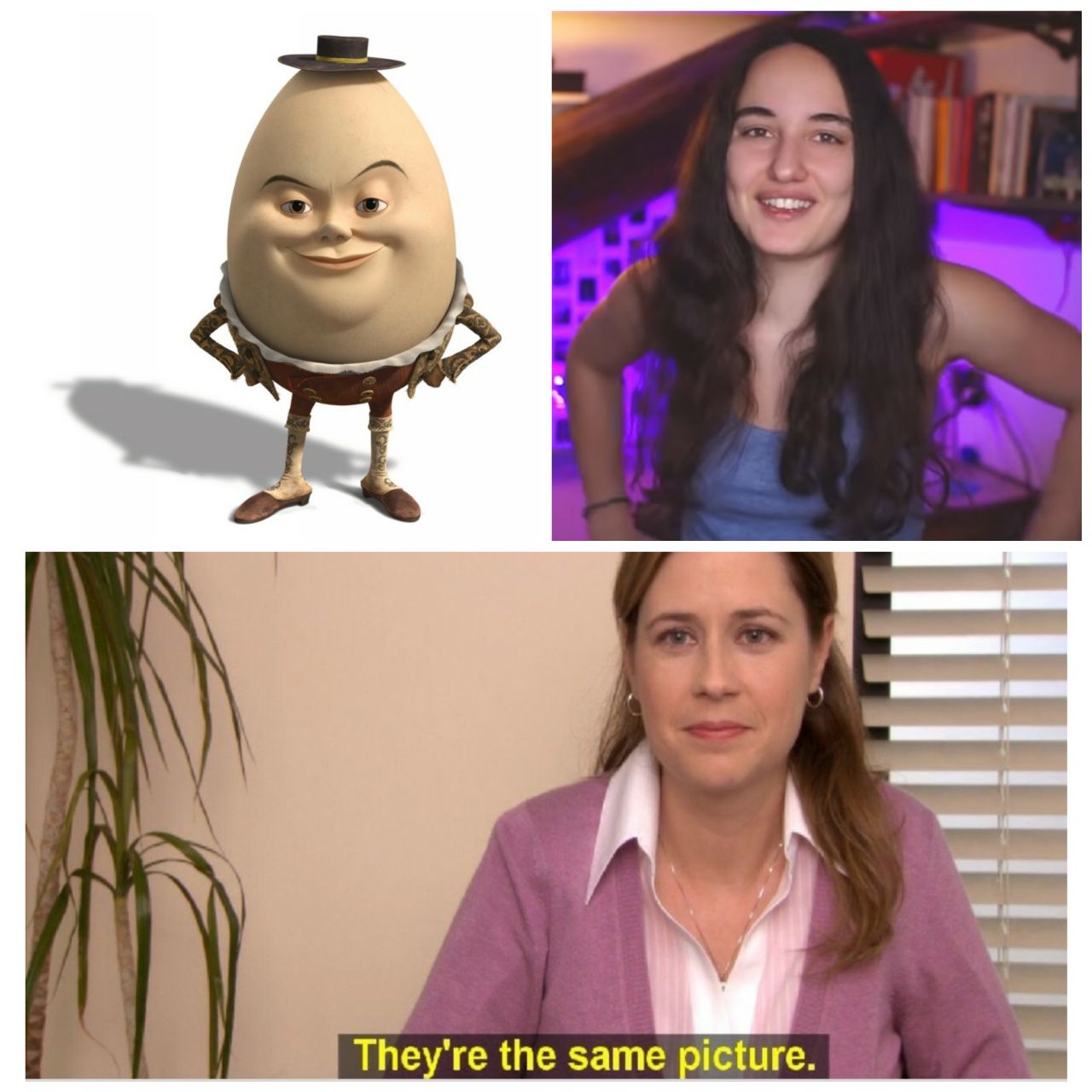 An interesting title | Scrolller