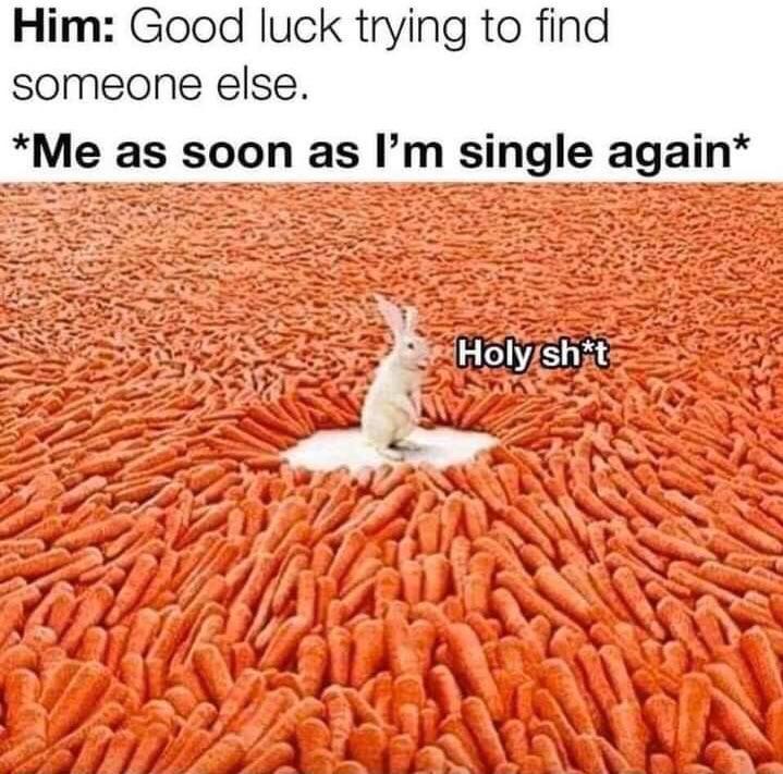 An interesting title | Scrolller