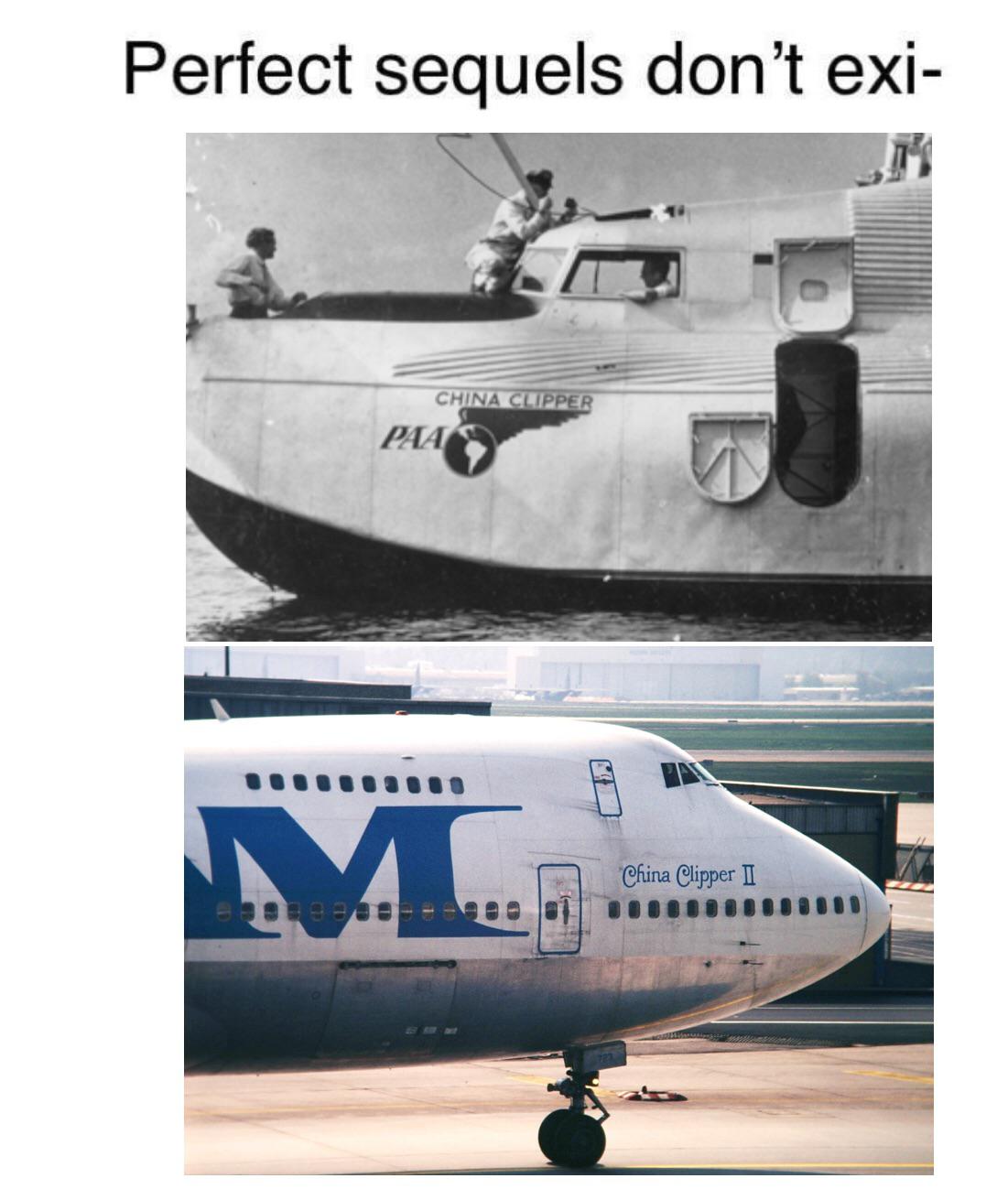 An unexpected comeback | Scrolller