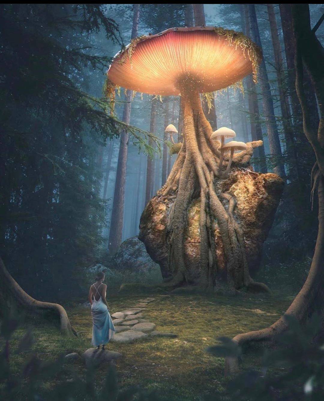 Analysis | Scrolller