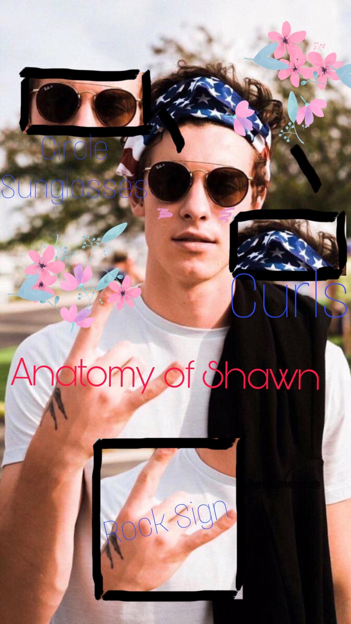 Anatomy Of Shawn Scrolller