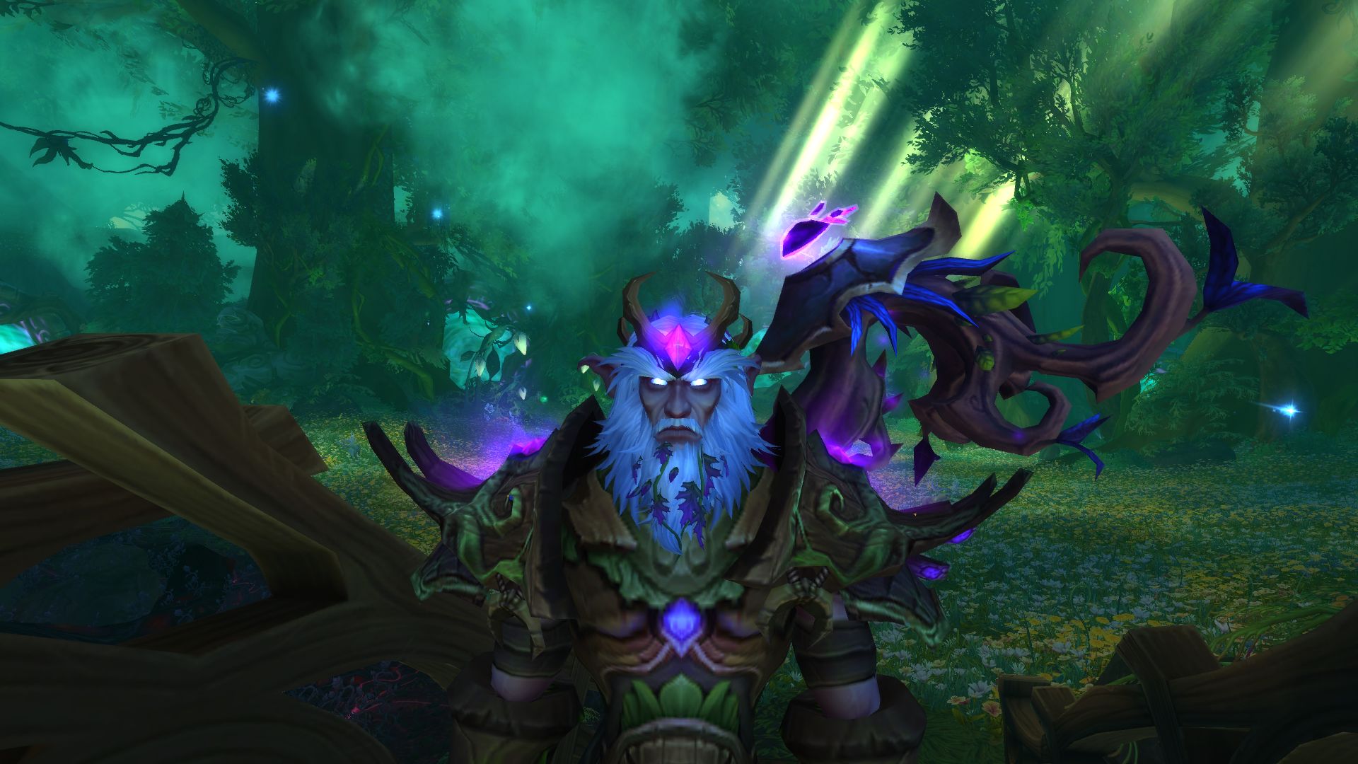 Ancient kaldorei druid | Scrolller