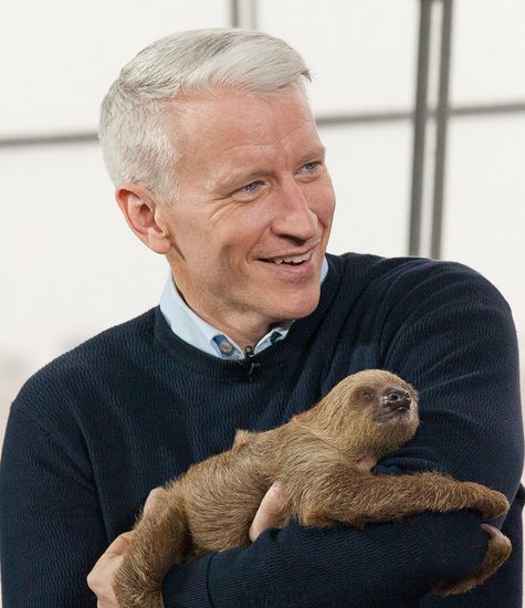 Anderson Cooper really loves sloths. | Scrolller