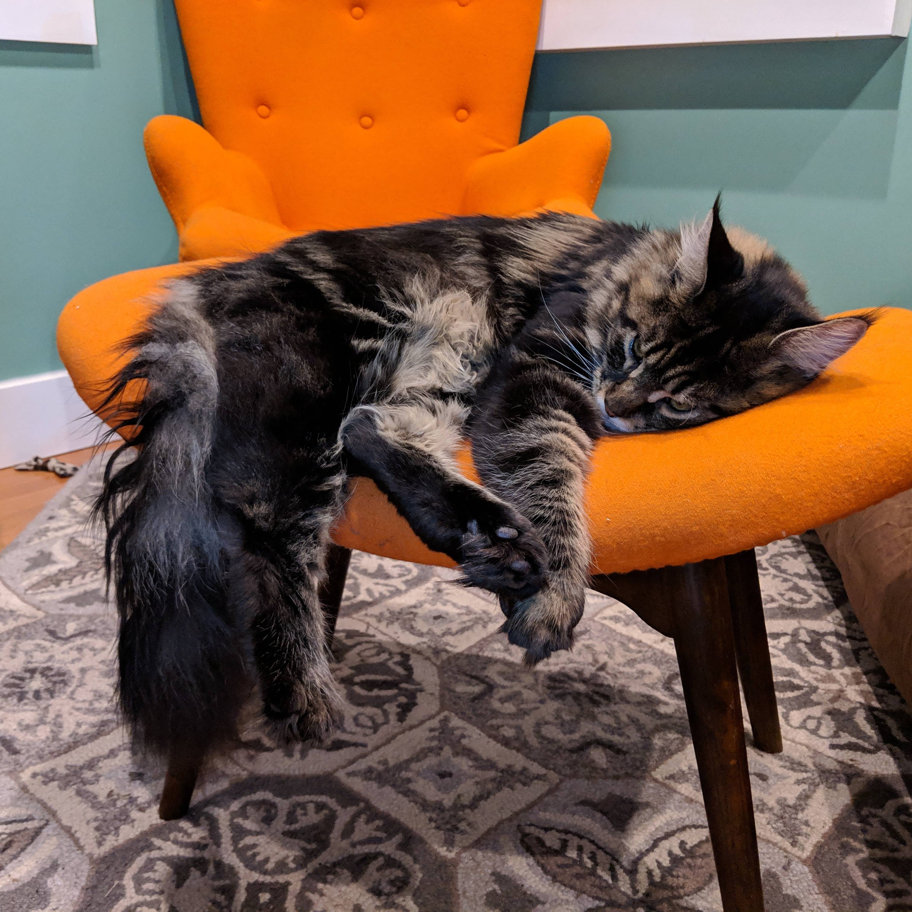 Andy is exhausted | Scrolller