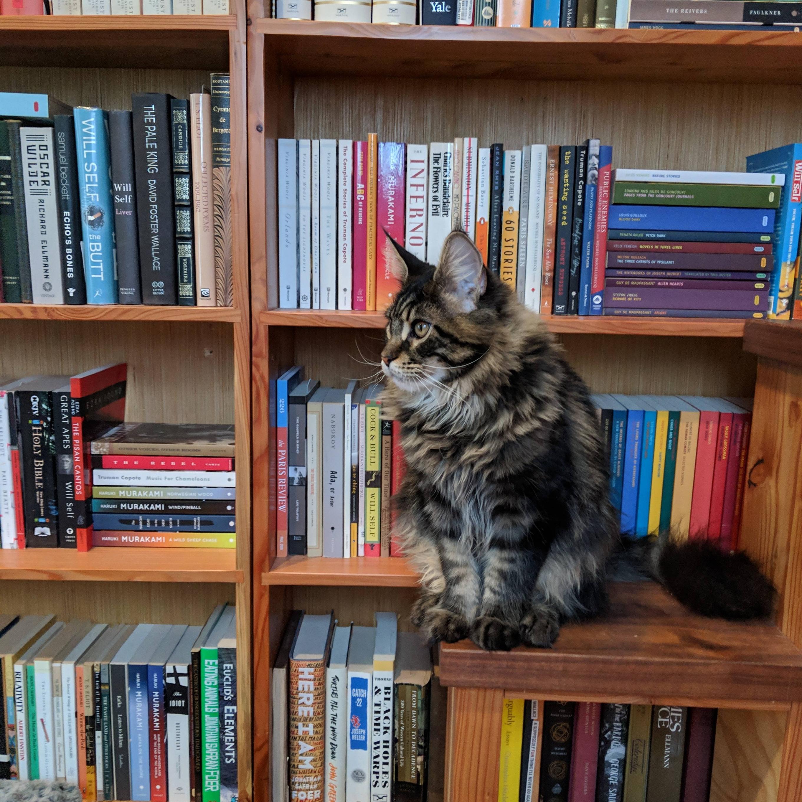 Andy Taylor on his step | Scrolller