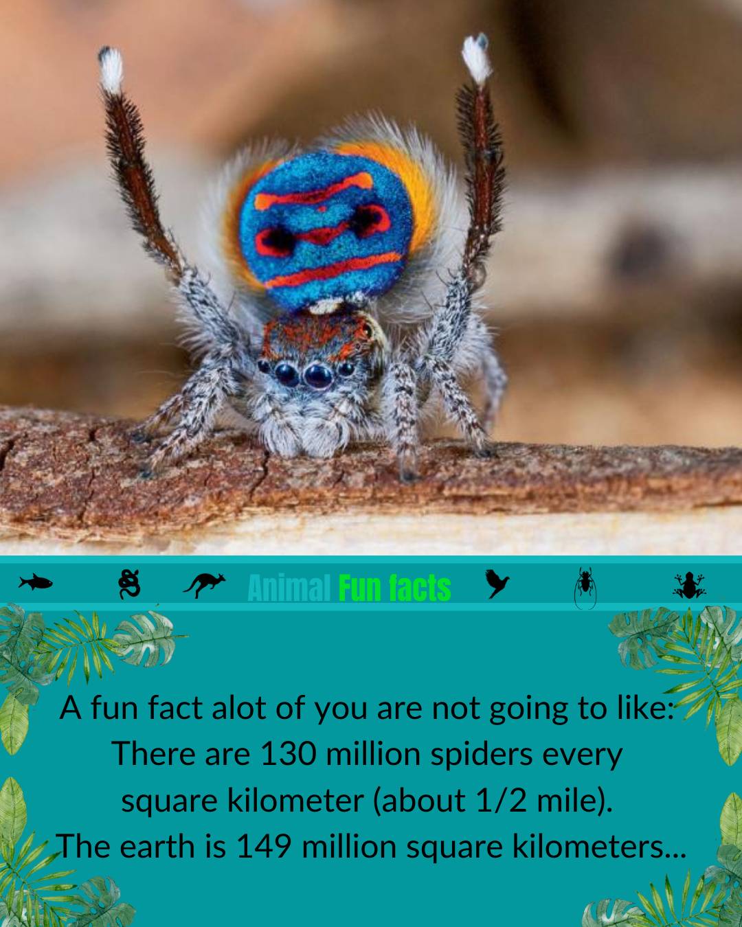 Animal Fun Fact | Scrolller
