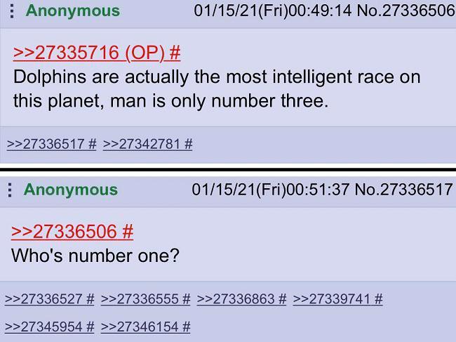 Anon helps prove OPs point | Scrolller