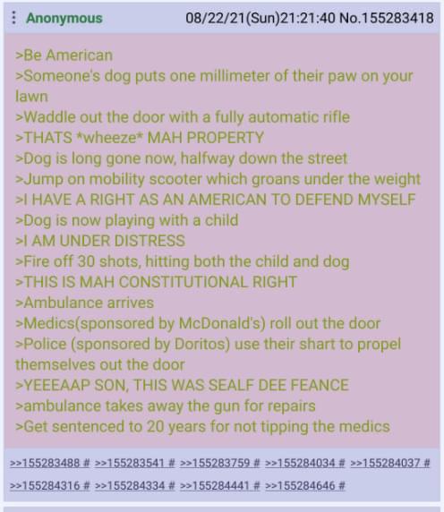 Anon is a true patriot | Scrolller