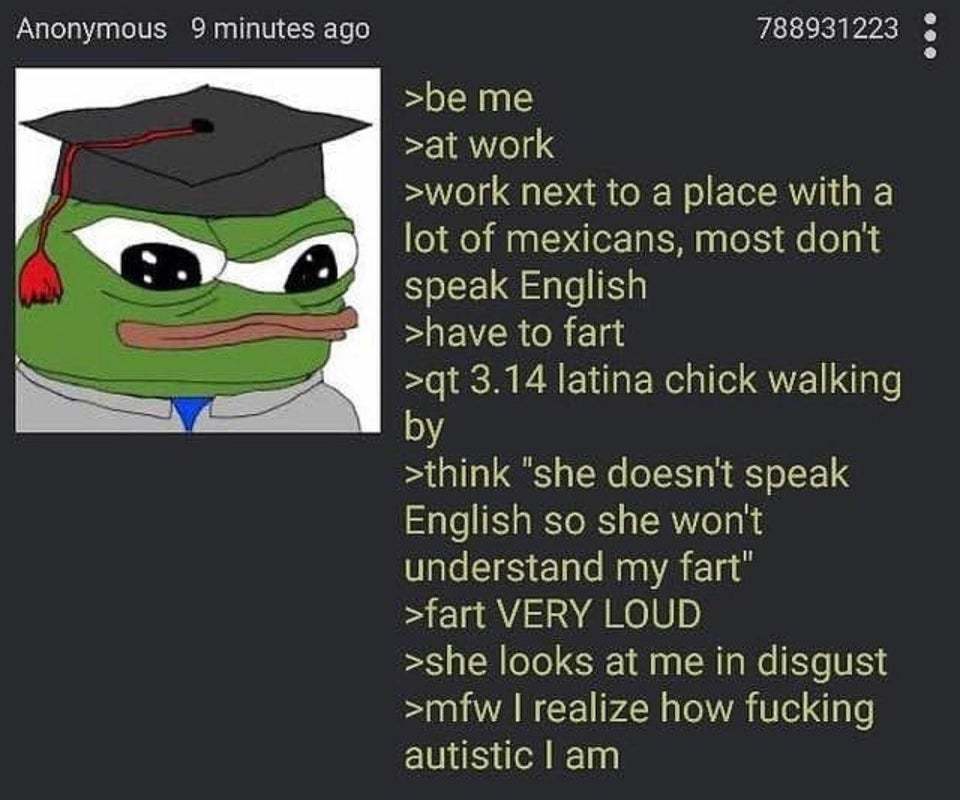 Anon is dumb | Scrolller