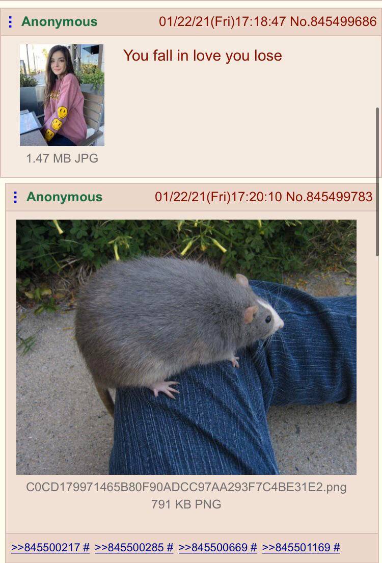 Anon is in love | Scrolller