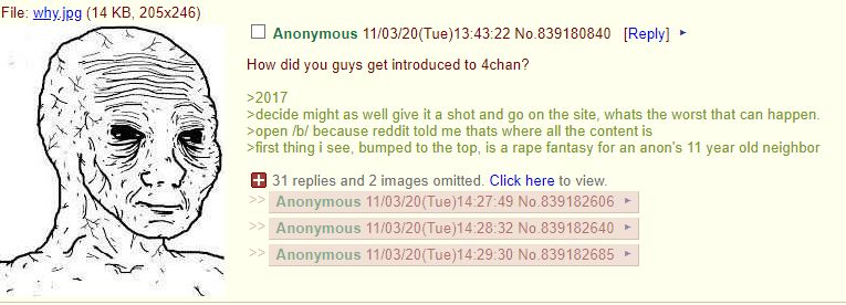 anon's first experience on 4chan | Scrolller