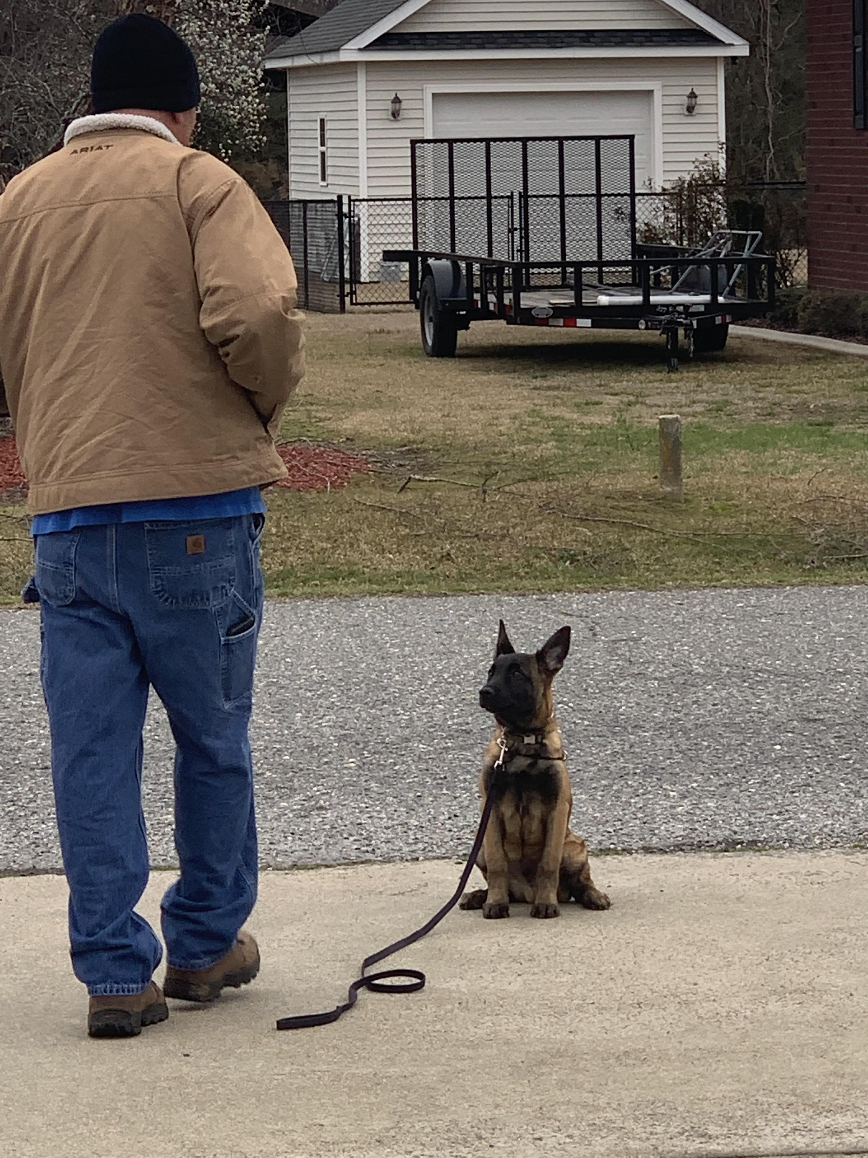 Another first. Obedience Training. He did amazing. | Scrolller