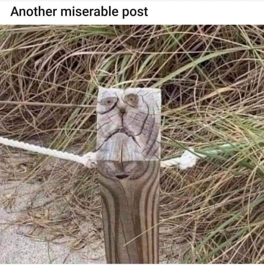 Another miserable post | Scrolller