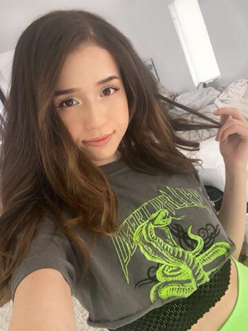 Any bi buds want to jerk off to pokimane together | Scrolller